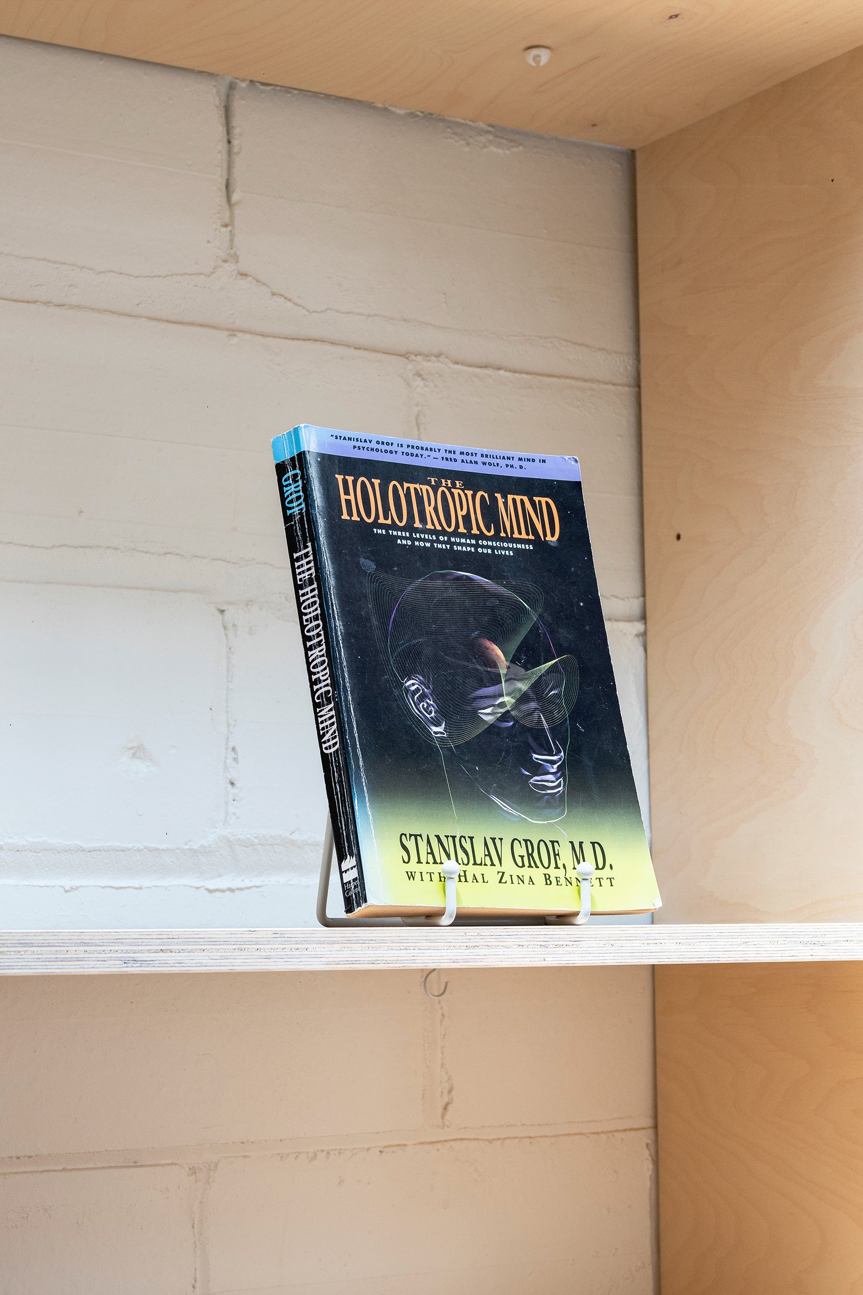 STANISLAV GROF - THE HOLOTROPIC MIND – understory-shop