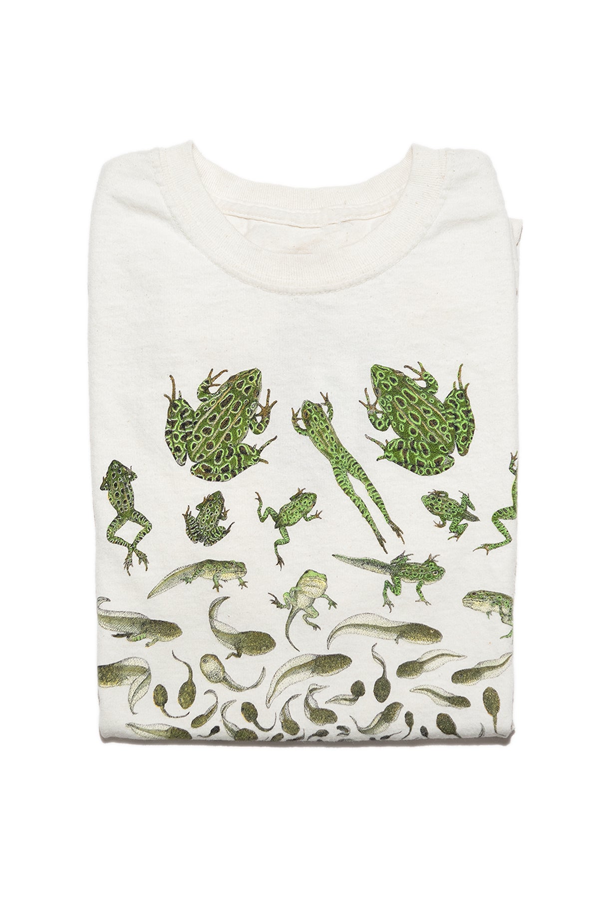 PREMIUM VTG T-SHIRT FROG METAMORPHOSIS – understory-shop